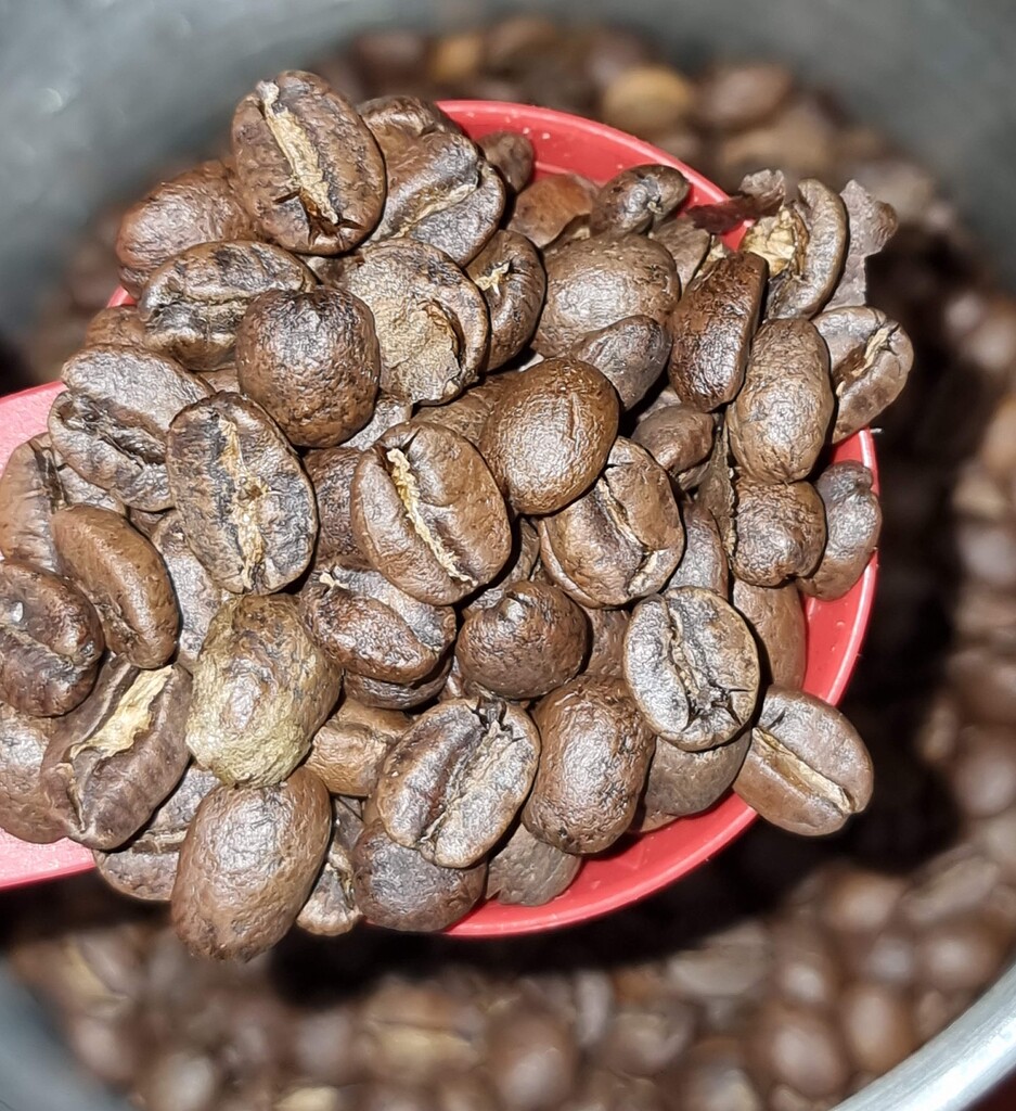 Photos of roasted beans please! - Feature Suggestions - Roast World ...